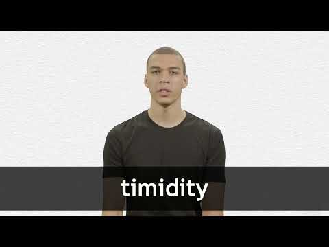 TIMIDITY definition in American English | Collins English Dictionary