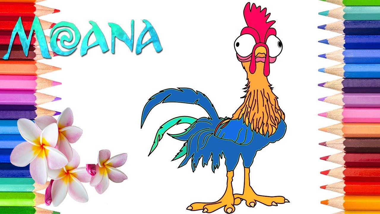 Moana Hei Hei Coloring Page | Moana Coloring Book for Kids | Rainbow Playhouse Coloring Pages