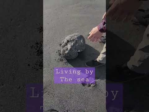 Living in Eureka California 🌊