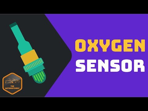 Oxygen Sensor - Industrial Oxygen Sensor Latest Price, Manufacturers ...