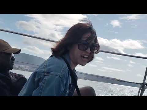 catamaran ride for whale watching.