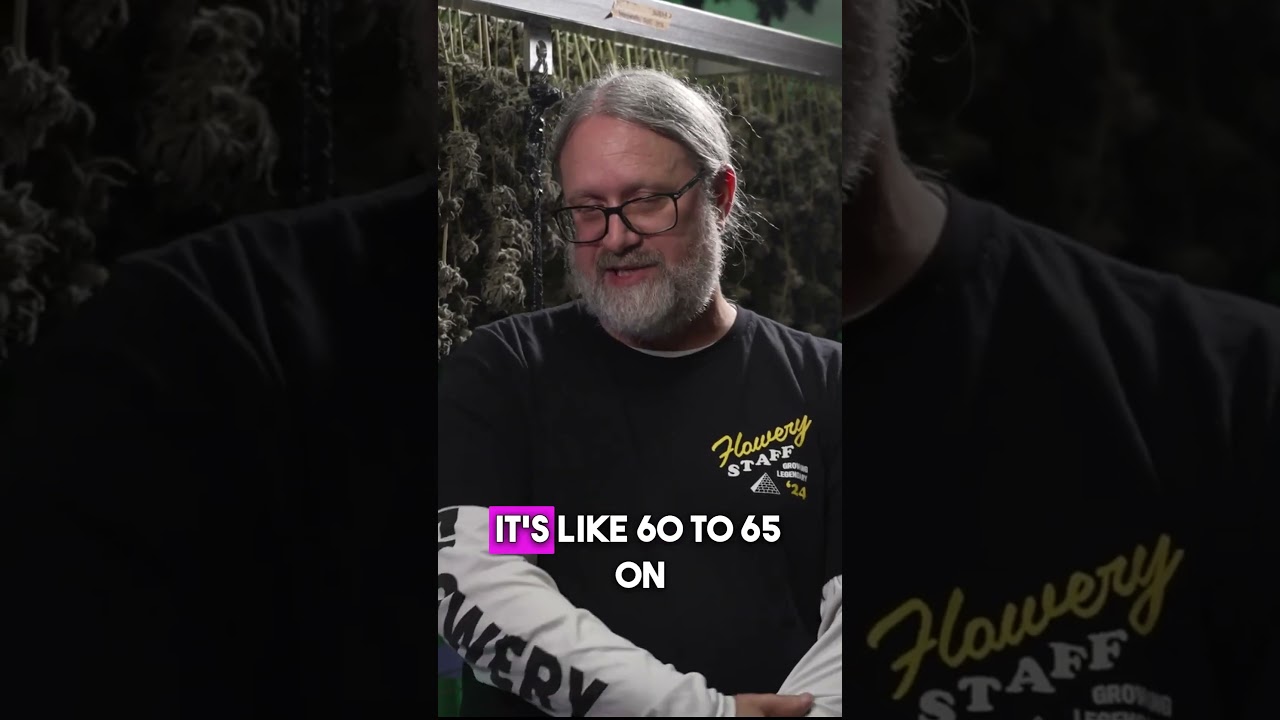 Optimal Drying and Curing Conditions