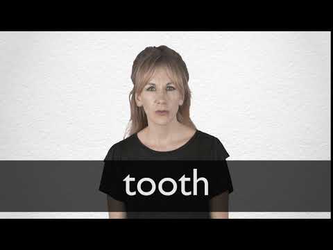 How to pronounce TOOTH in British English
