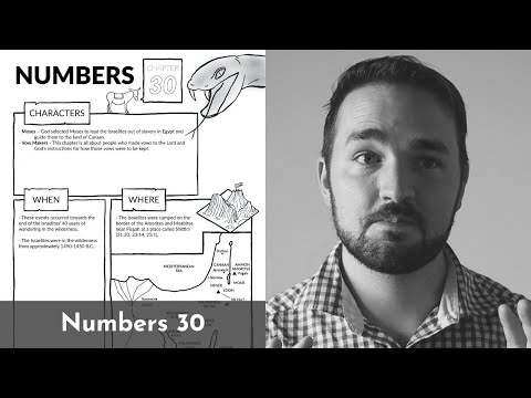 Numbers 30 Summary: A Concise Overview in 5 Minutes