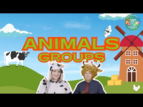 Flocks, Herds and Sounders! | Let's Learn Animal Groups Together- MFF | Songs For Kids