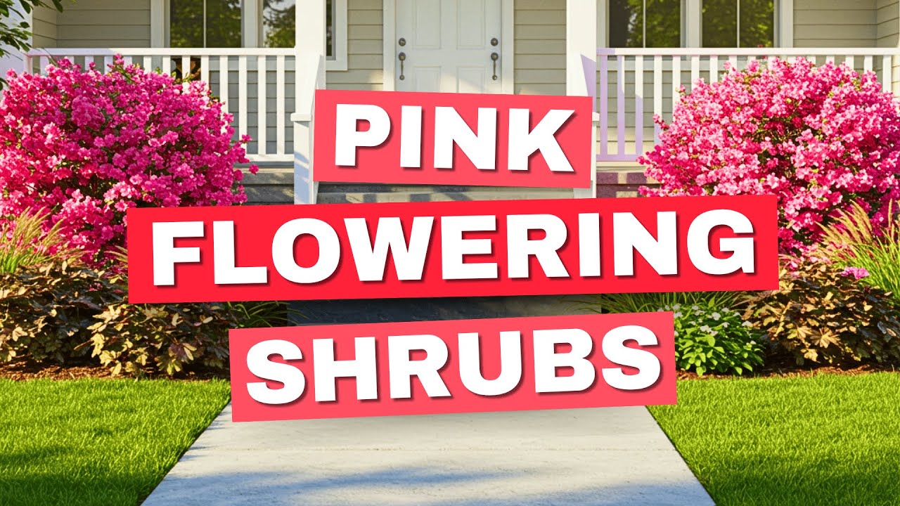 Want a STUNNING Front Yard? Try These 5 Pink Flowering Shrubs