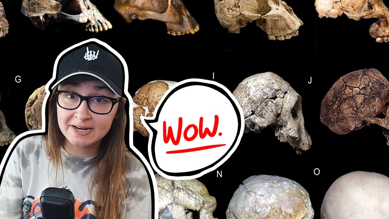 Creationists Don't Understand Transitional Species