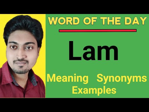 Lam || Word Of The Day || Learn It In Hindi And English With Examples.