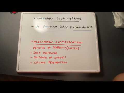 Manslaughter- Criminal Law