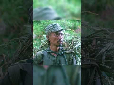 The Japanese Soldier Who Spent 30 years in the Jungle after WW2