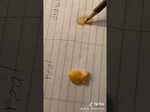Drawing of gold fish 🐠 by me 😌