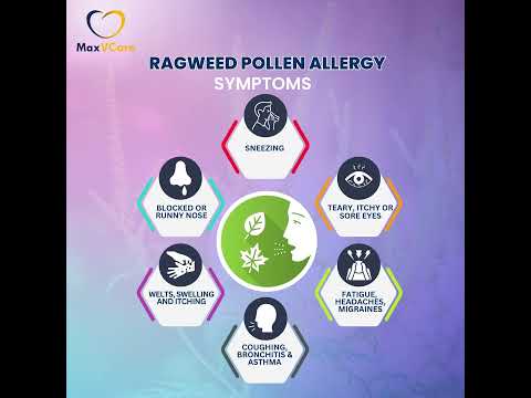 Regweed Pollen Allergy Symptoms