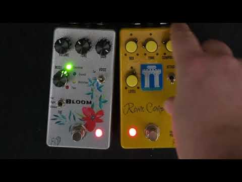 Drunk Beaver Rivne Compressor / Pedal Drop Series | Reverb