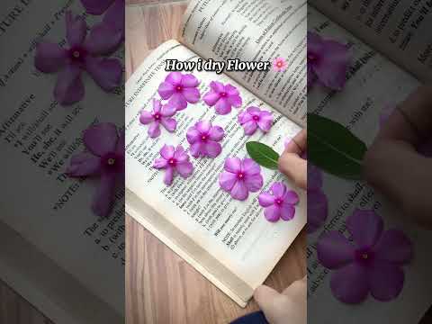 How i Dry flower.🌸 Subscribe if you like the videoo❤️