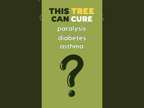 benefits of peepal tree & horror stories #reels #viral #shorts #facts