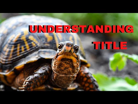Understanding Title