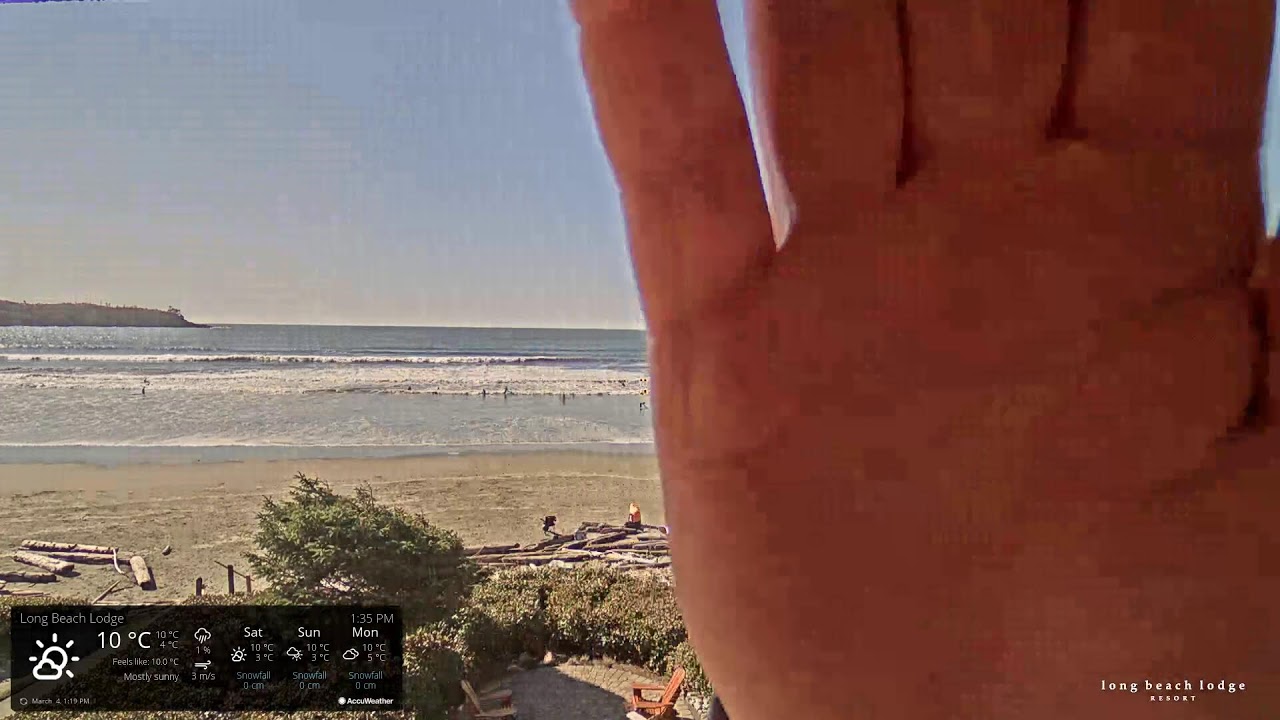 60+ Live Webcams for Virtual Office Backgrounds ...