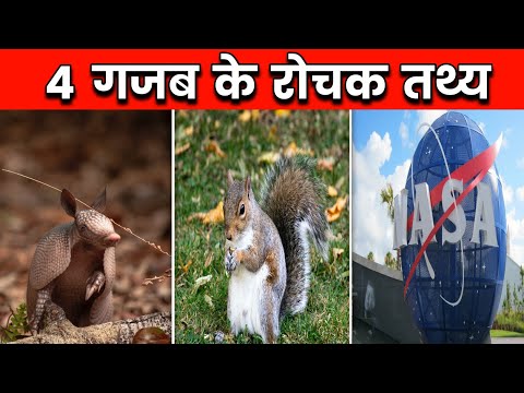 4 गजब के रोचक तथ्य | 4 Amazing Facts In Hindi | Top 4 Random Facts | Amazing Facts | #shorts #facts