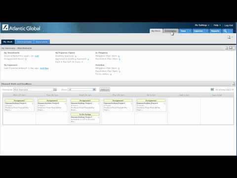 Using the Project Team Member Role