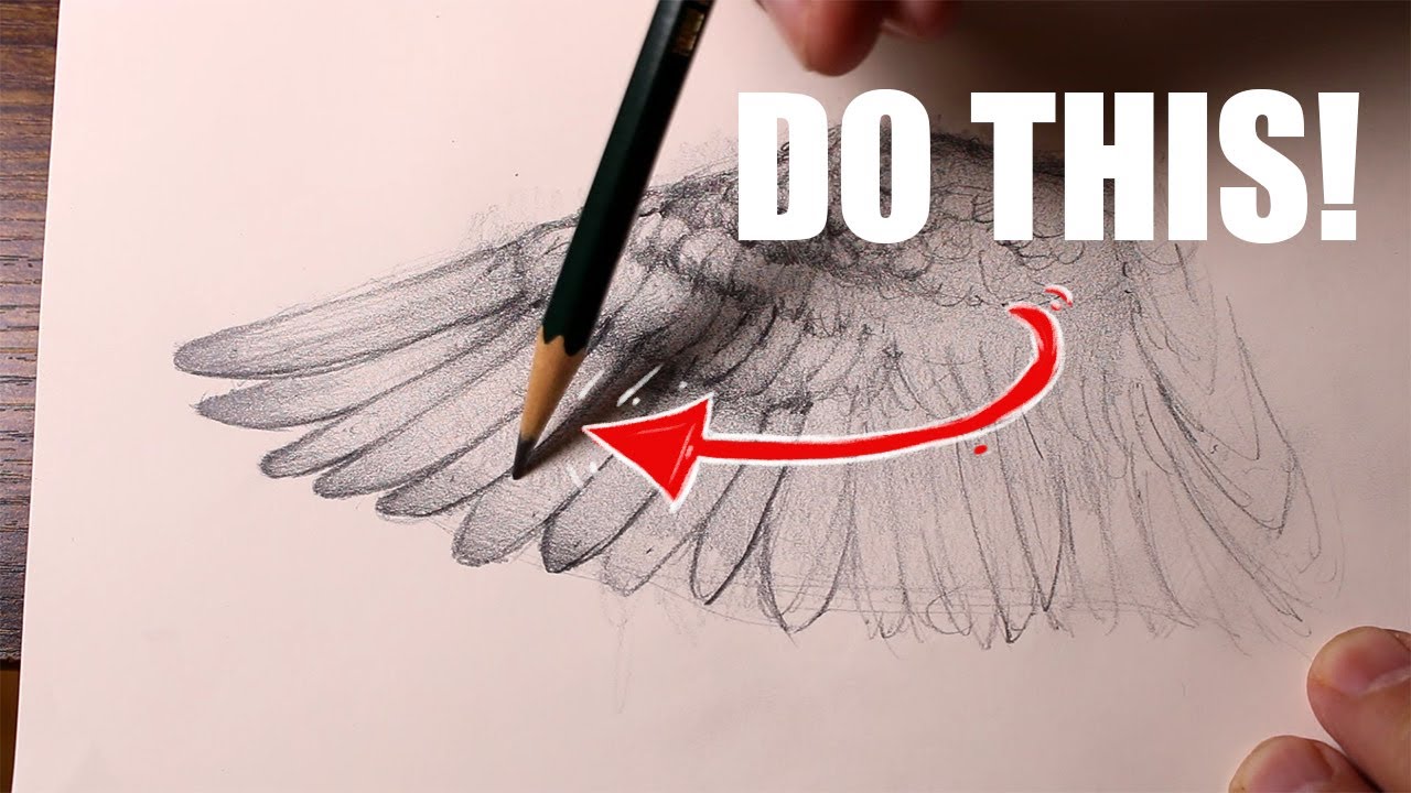 How to Sketch Realistic Wings with Feathers – Easy Step-by-Step