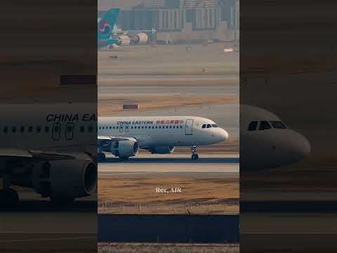 [China Eastern Airlines] Airbus A320-214 (B-2412) landing