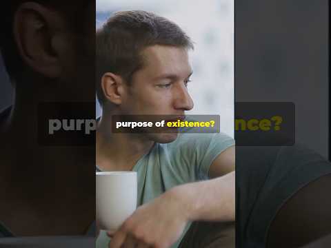 The Meaning of Life: Insights from Top Philosophers
