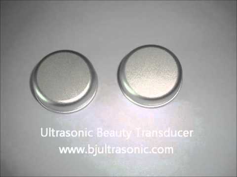 Ultrasonic Beauty Transducer Manufacturer & Supplier