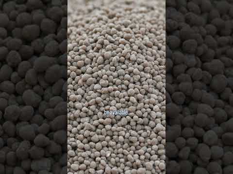 How much phosphorus do you NEED?