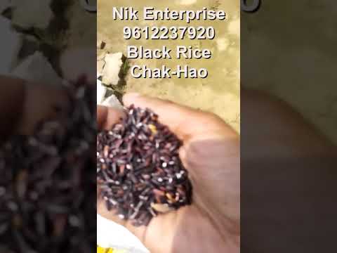 Black Rice - Wholesale Price & Mandi Rate for Forbidden Rice in India