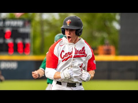 Ryan Ritter 2024 Minor League Highlights!