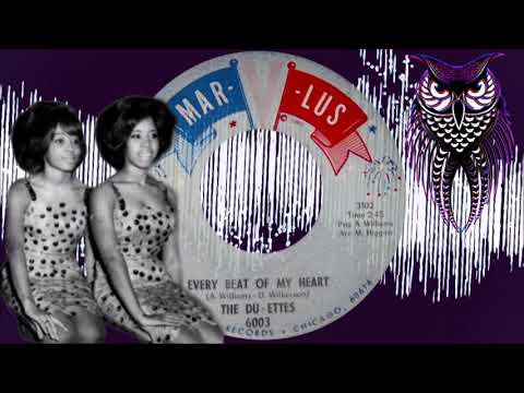 ✊🏽 The Du-Ettes Every Beat Of My Heart USA Mar-V-Lus 1964.