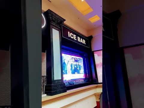 Ice Ice Baby #icebar #mandalaybay #lasvegas #vegasstrip #vegas #stripwalking Too cold for #shorts