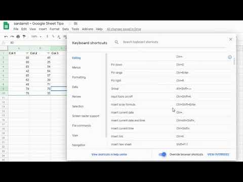 Overriding Browser Keyboard Shortcuts in Google Sheets