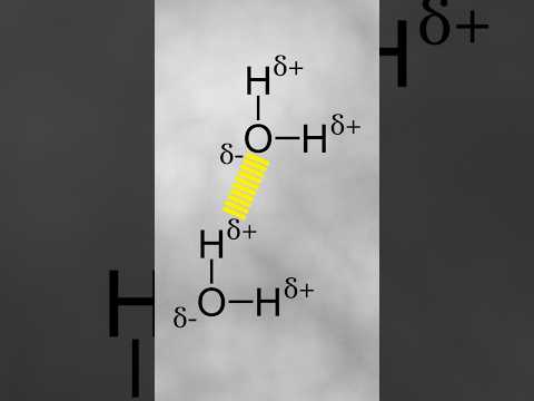 Hydrogen Bonding in Under 1 Minute!