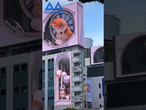 3D LED Digital Advertising Display Screen Board
