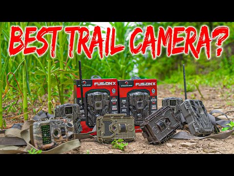 What’s the BEST Trail Camera??? | Let's Find Out!