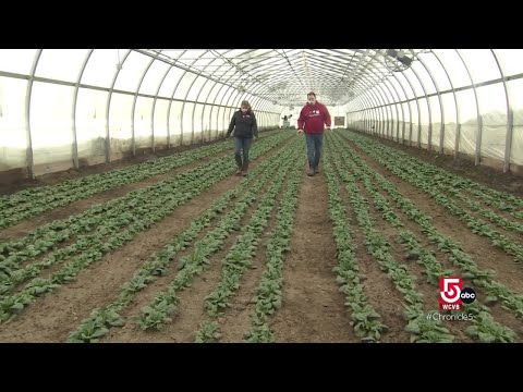 Cultivating crops in the winter months in Dracut, Massachusetts