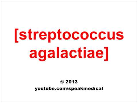Pronounce Streptococcus Agalactiae | SpeakMedical