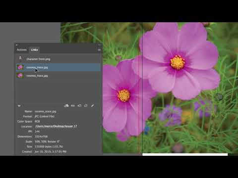 AI Embed vs Link Images