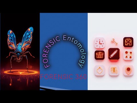 Best of the Forensic Entomology Defined by Experts