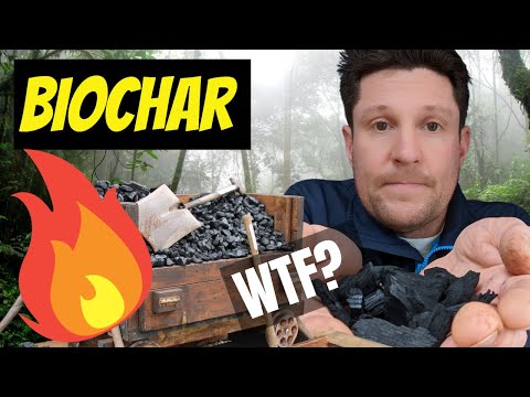 What is biochar?