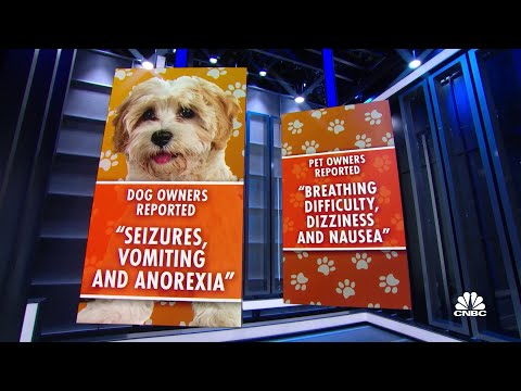 Deaths of 2,500 pets linked to Seresto flea collars