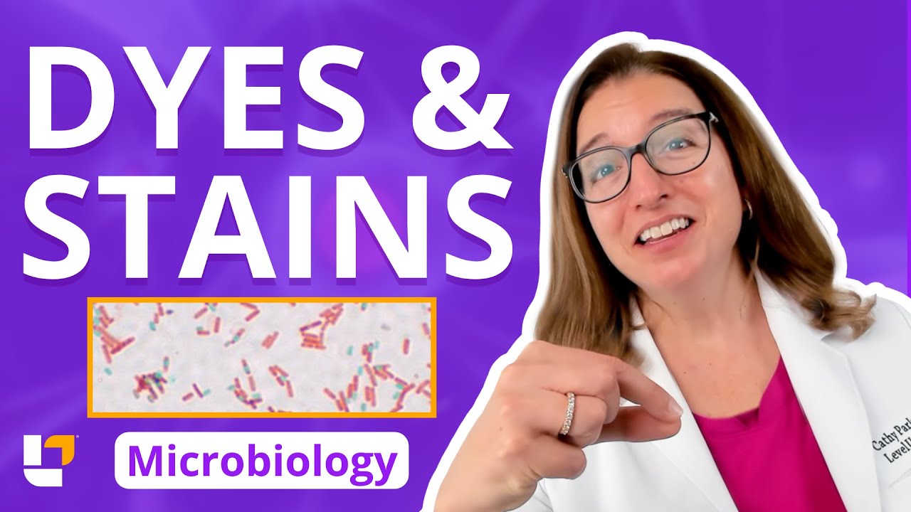 Dyes & Stains - Microbiology for Pre-Med, Nursing and Health Care fields  |​⁠ @leveluprn