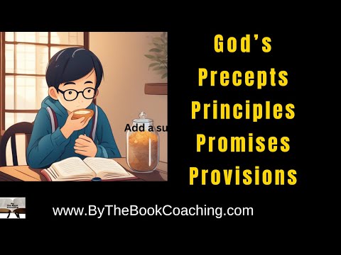 Bible Terms: God's Precepts, Principles, Promises, and Provisions - What's the Difference?