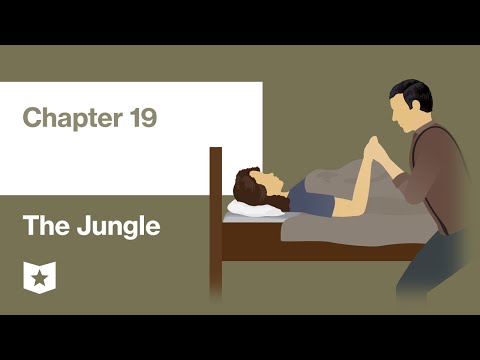 The Jungle Study Guide | Course Hero