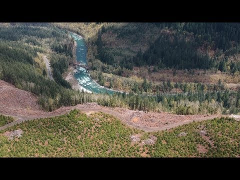 This Road Trip Will Lead You To Countryside Hidden Gems In Washington
