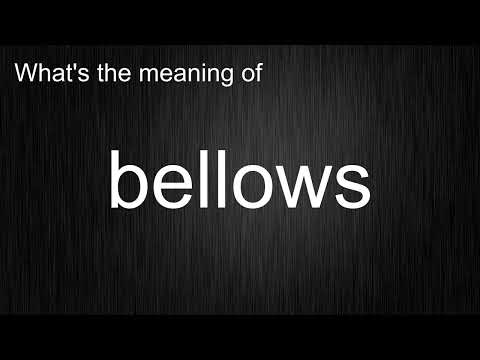 What's the meaning of "bellows", How to pronounce bellows?