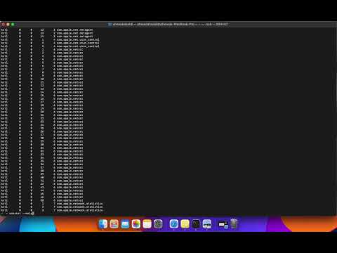 Terminal : Netstat