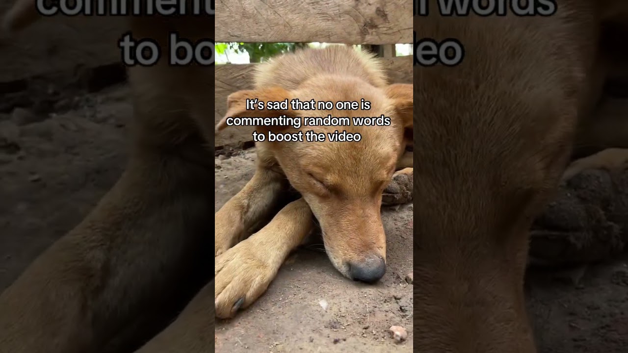 Please don’t scroll my engagement is too low am kindly requesting for your assistance to my babies🙏