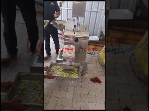 Raw Mango Cutting Machine - Green Mango Cutting Machine Latest Price ...